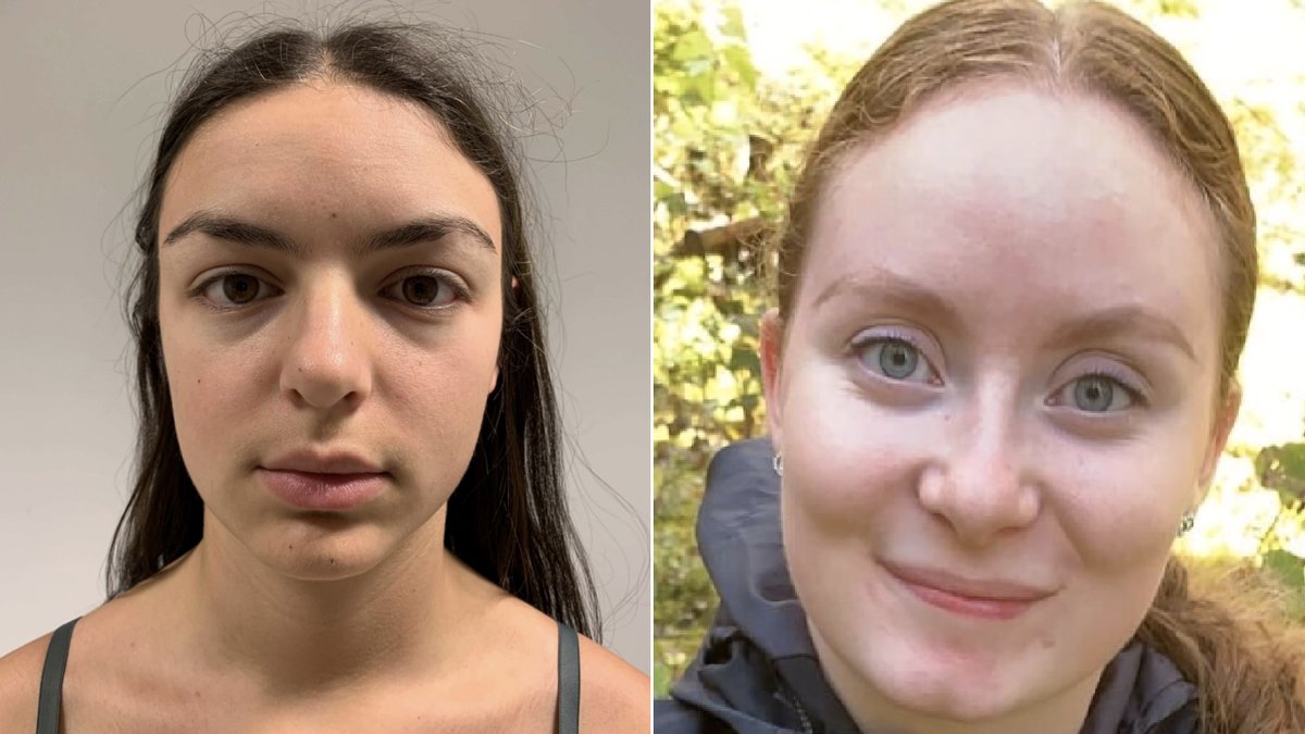 Johanna Leshem Jansson överklagar Livstidsdomen Vill Frias För Mordet